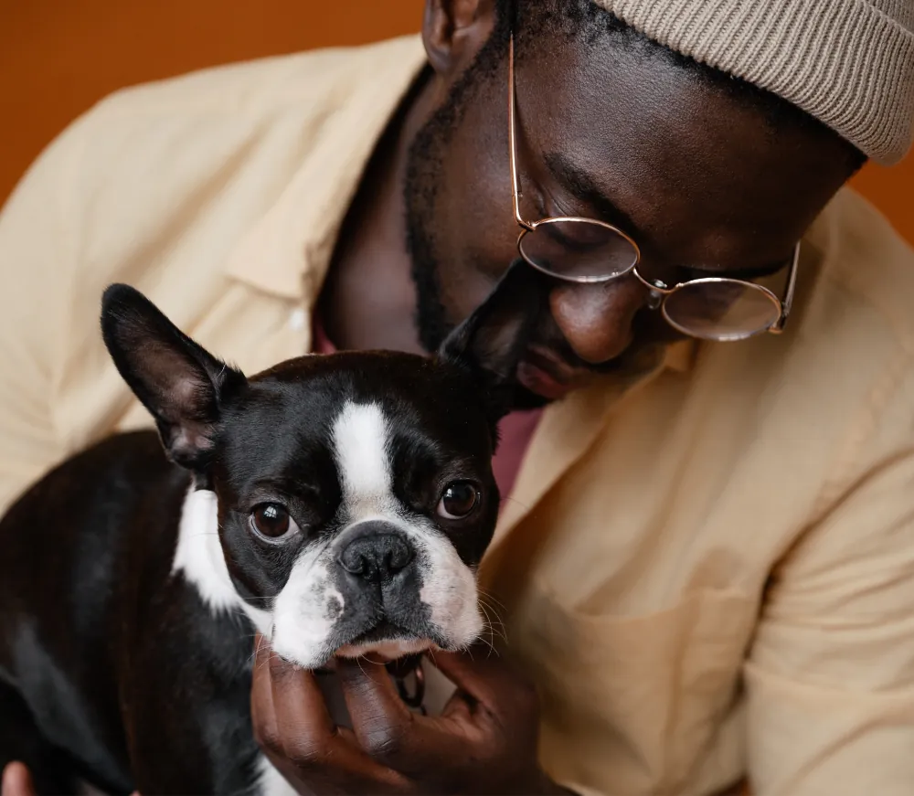 How Long Do Dogs Live? It's Up To You To Decide - smartpettools